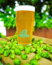 The Daily Growler » CBC – Devil’s Kush